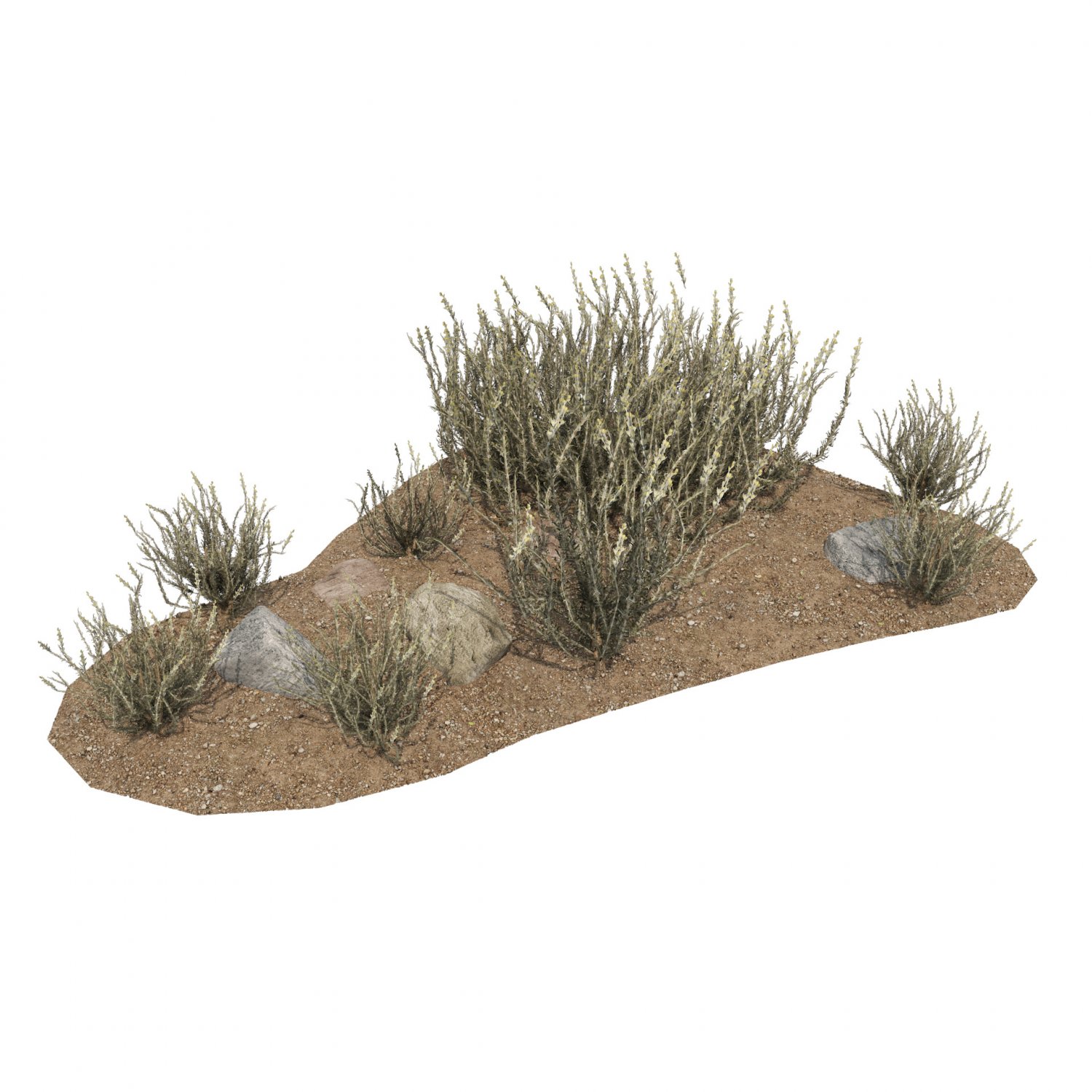 Desert Bush Texture