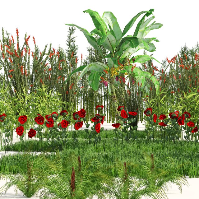 Rigged Low poly Plants collection 3D Model in Small Plants 3DExport