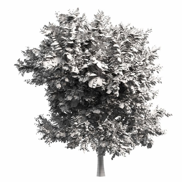 Ghaf trees of Emirates Modelo 3D in Árbol 3DExport