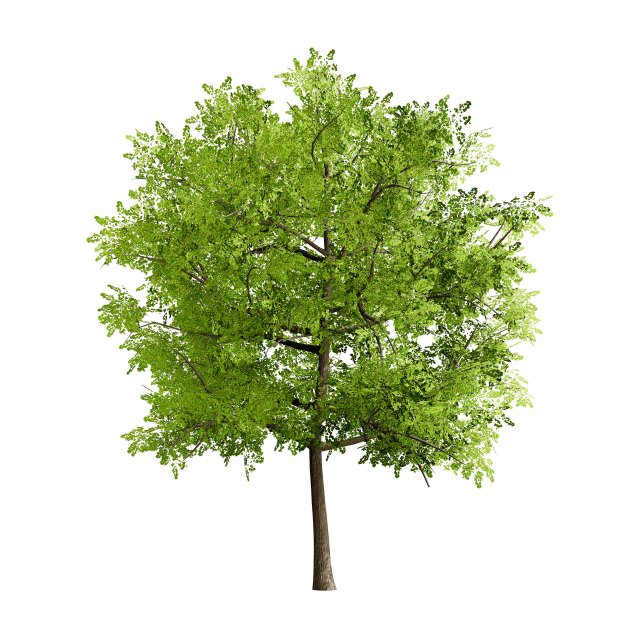 Low Poly Plane Tree Variety Pack with free 3D Model in Tree 3DExport