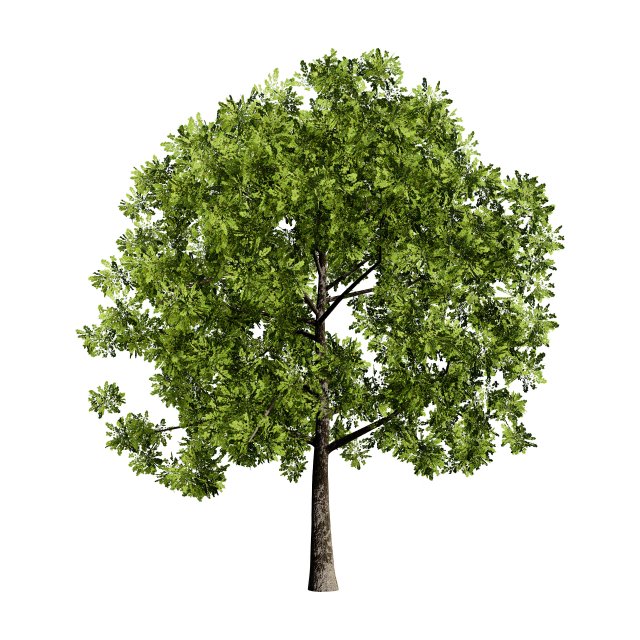 Low Poly Plane Tree Variety Pack with free 3D Model in Tree 3DExport