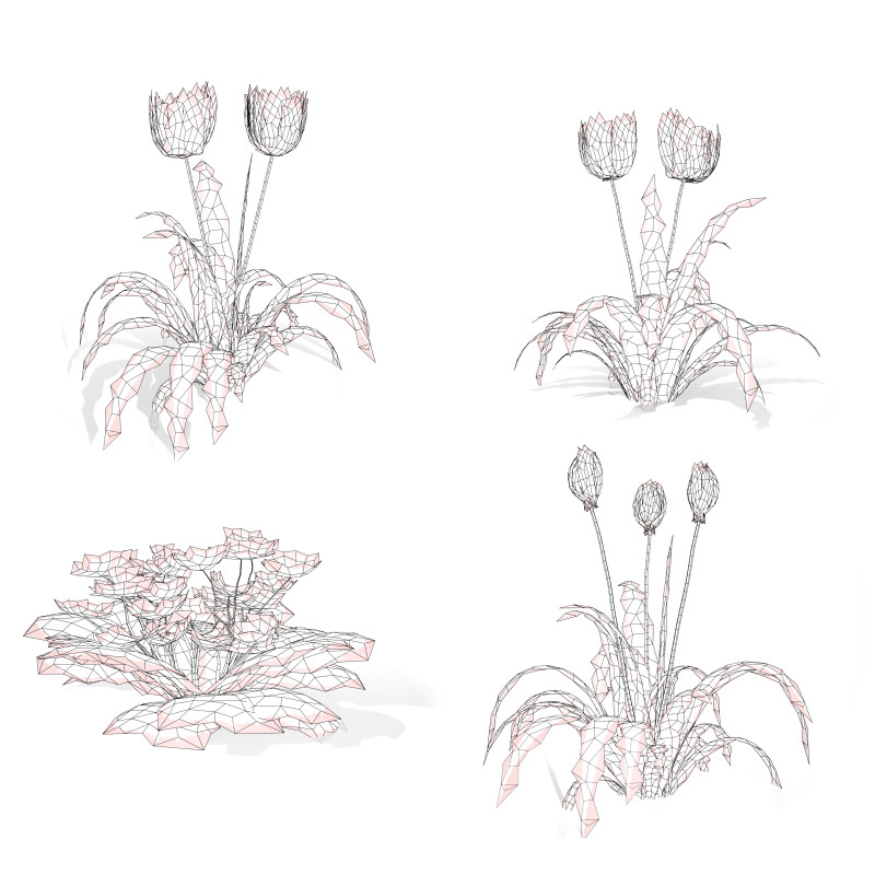 Primrose Tulip Bouquet 3D Model in Flowers 3DExport