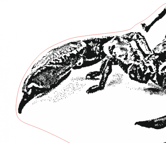 scorpio laser engraving vector drawings 3D Model in Characters 3DExport