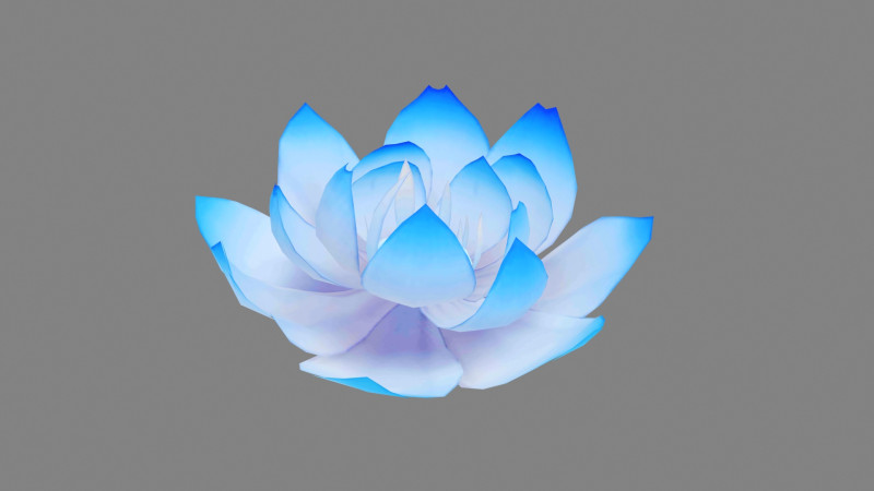 A blue lotus - Cartoon lotus - Open stamens - Mutant lotus Low-poly 3D ...