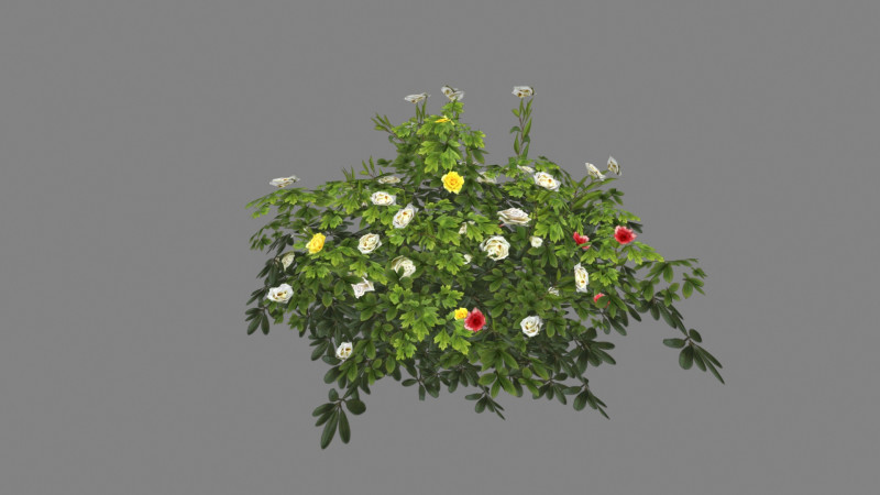 Cartoon white rose bushes Low-poly Model 3D in Bunga 3DExport
