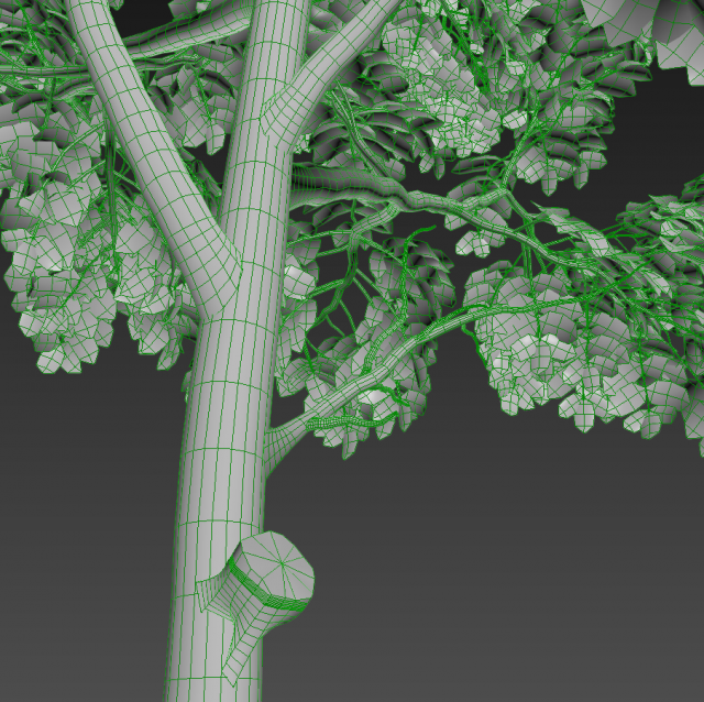 two young ash tree 3D Model in Tree 3DExport