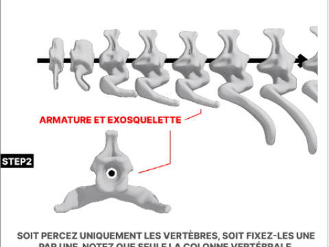 Alamosaurus Squelette selesai Model 3D in Dinosaur 624843 | 3DExport