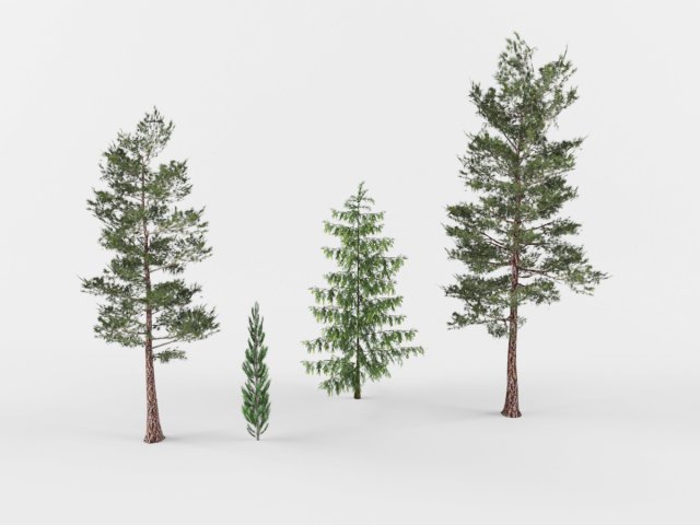 Collection Coniferous trees 3D Model in Tree 3DExport