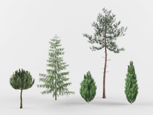 Collection Coniferous trees 3D Model in Tree 3DExport