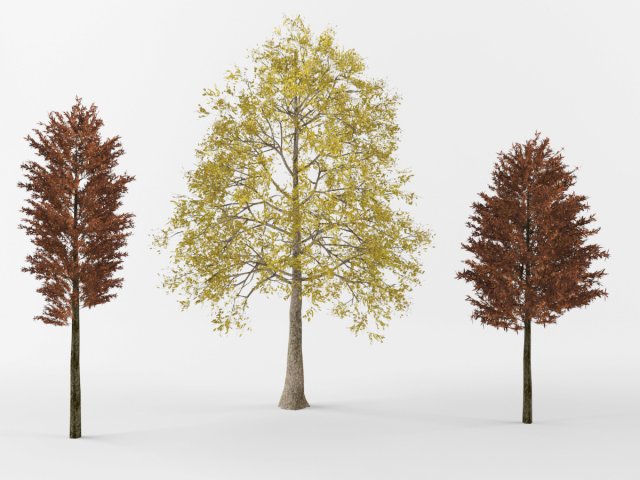 Autumn trees 3D Model in Tree 3DExport