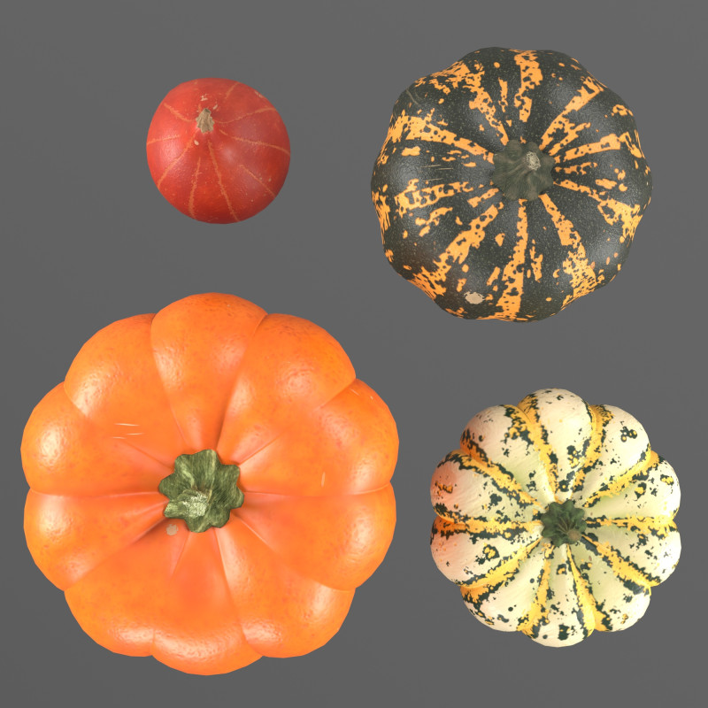 Four varieties of pumpkin gourds 3D Model in Vegetable 3DExport