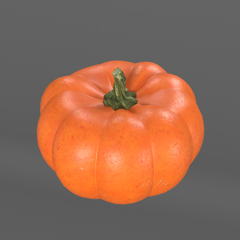 Four varieties of pumpkin gourds 3D Model in Vegetable 3DExport