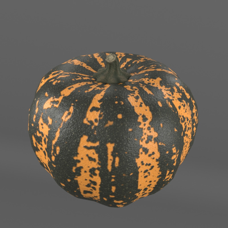 Four varieties of pumpkin gourds 3D Model in Vegetable 3DExport