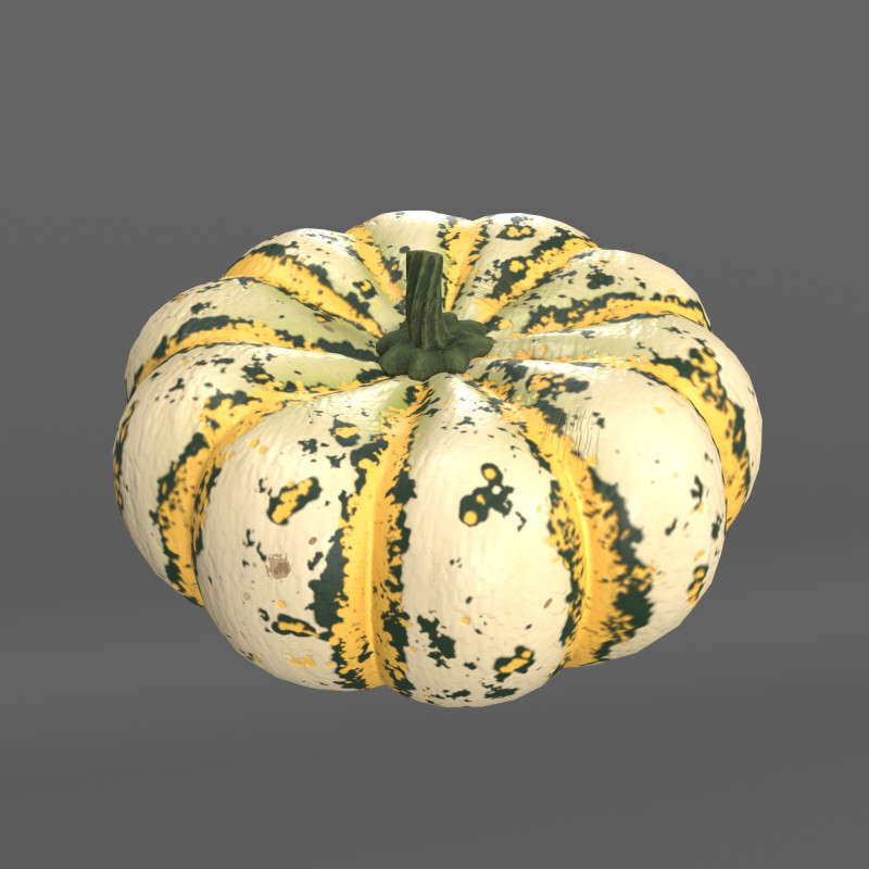 Four varieties of pumpkin gourds 3D Model in Vegetable 3DExport