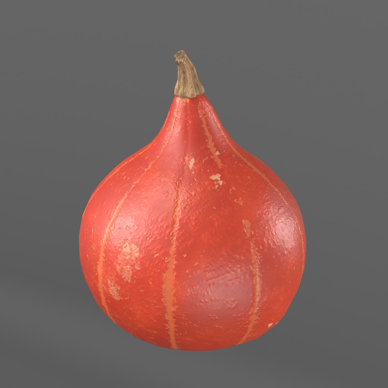 Four varieties of pumpkin gourds 3D Model in Vegetable 3DExport