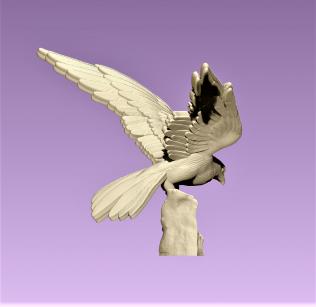 Hawk 3D Print Model in Sculpture 3DExport