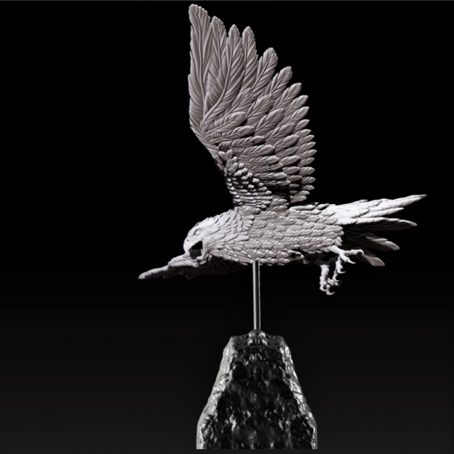 Hawk 3D Model in Bird 3DExport