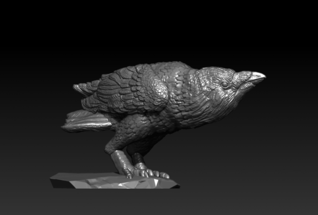 Crow 3D Print Model in Animals 3DExport