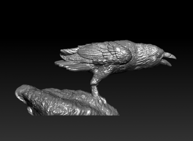 Crow 3D Print Model in Animals 3DExport