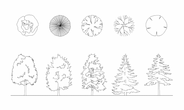 Tree Graphic Symbols - Revit Family Collection Model 3D in Pohon 3DExport
