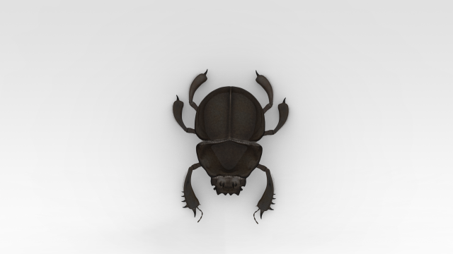 Scarab 3D Model in Insects 3DExport