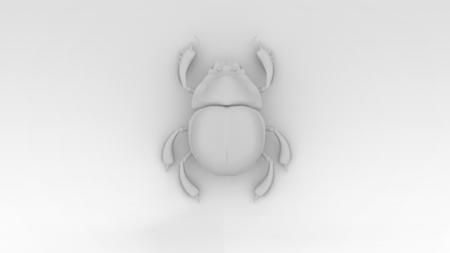 Golden Scarab 3D Model in Insects 3DExport