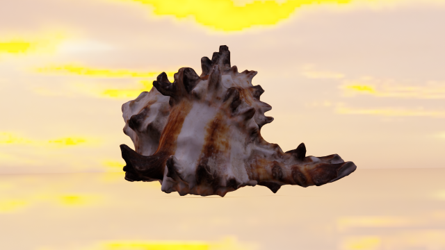 SEA SHELL GAME READY LOW POLY 3D MODEL 3D Model in Commercial 3DExport