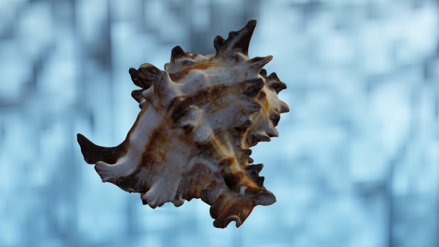 SEA SHELL GAME READY LOW POLY 3D MODEL 3D Model in Commercial 3DExport