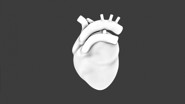 HUMAN HEART BAR LOW POLY GAMEREADY 3D Model in Medicines 3DExport