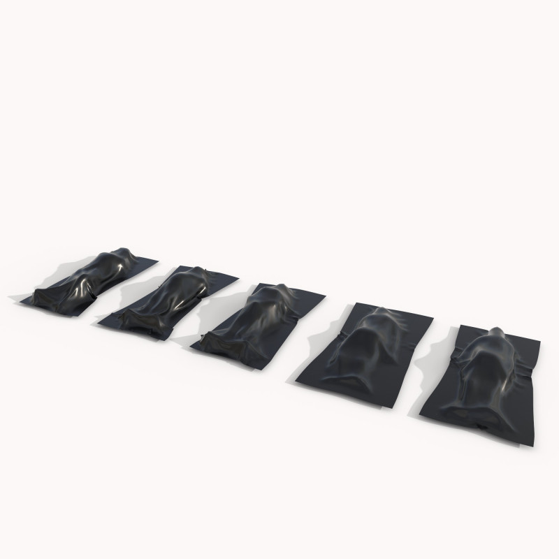 Corpse cover 3D Model in Other 3DExport