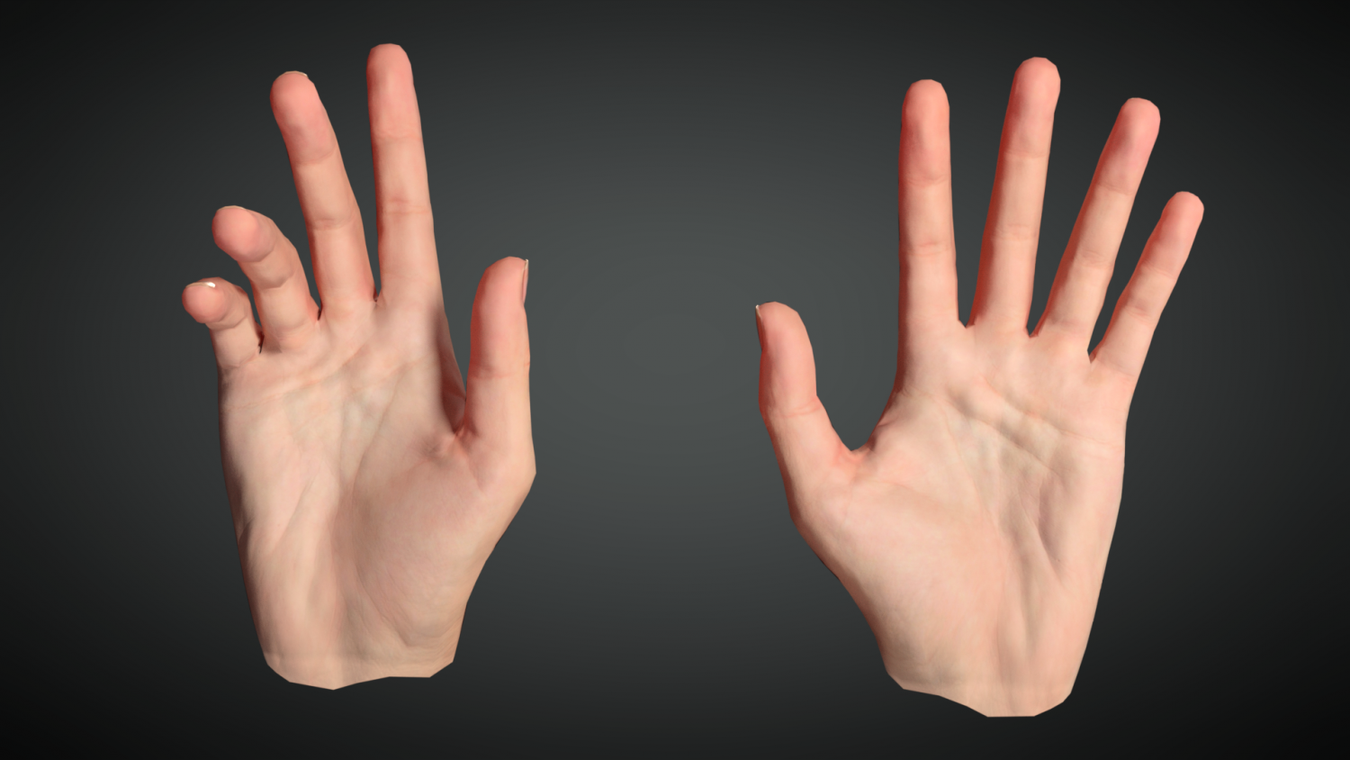 Female Hand Reference For 3d