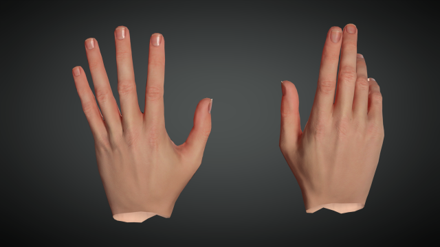 realistic hand vr low poly 3D Model in Anatomy 3DExport
