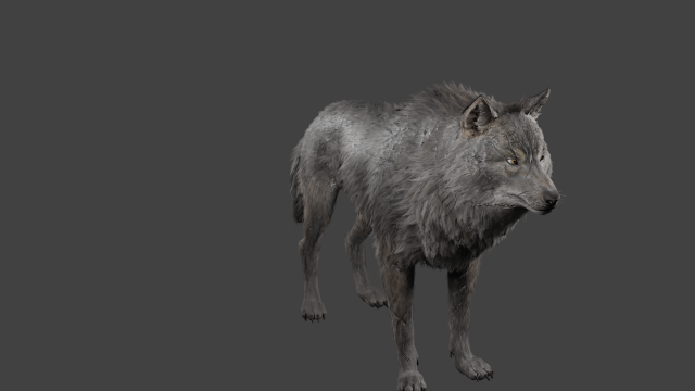 realistic wolf rigged 3D Model in Wildlife 3DExport