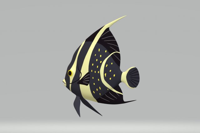 Black Angelfish Ready to Print STL FBX OBJ 3D Print Model in Animals ...