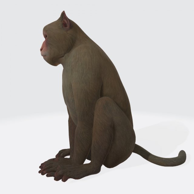 Monkey Ready to Print 3D Print Model in Sculpture 3DExport