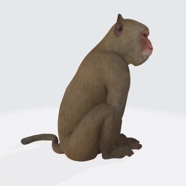 Monkey Ready to Print 3D Print Model in Sculpture 3DExport