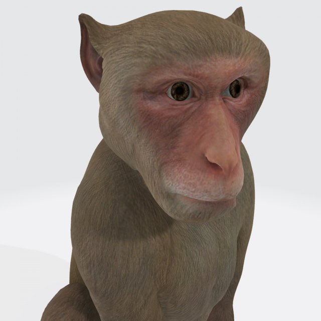 Monkey Ready to Print 3D Print Model in Sculpture 3DExport