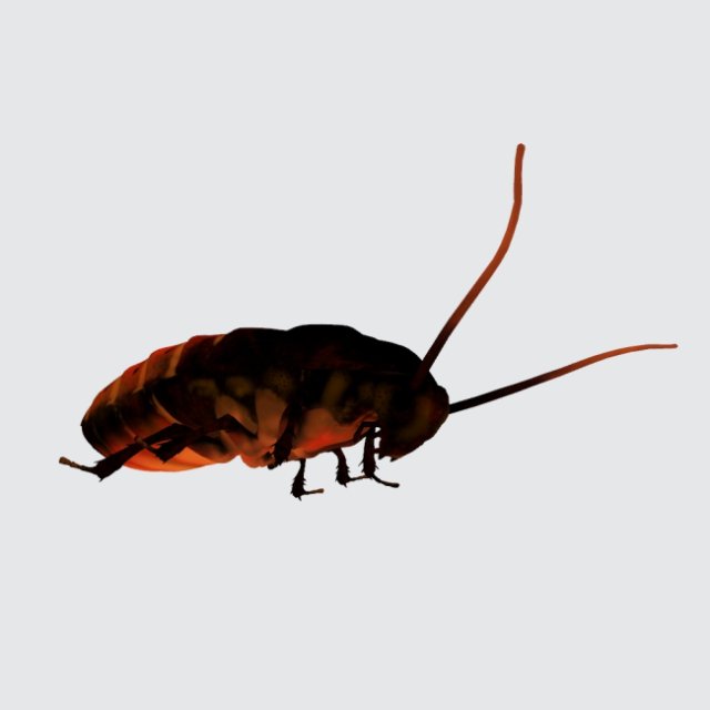Oriental Cockroach Ready to Print 3D Print Model in Sculpture 3DExport