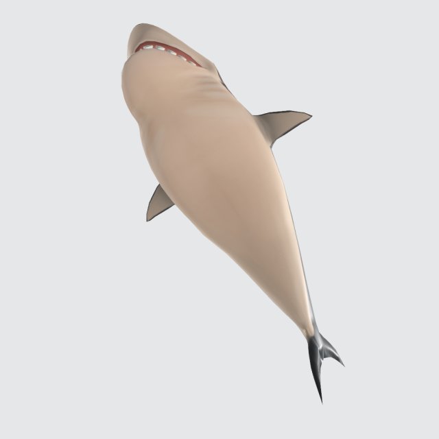 Cartoon Shark Ready to Print 3D Print Model in Sculpture 3DExport