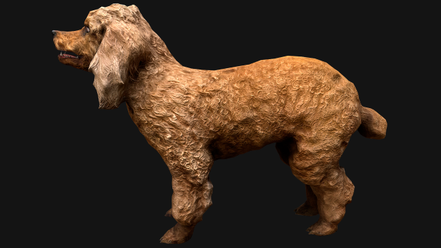 Dog Cockapoo Cocker Spaniel Mix Poodle 3D Model in Dog 3DExport