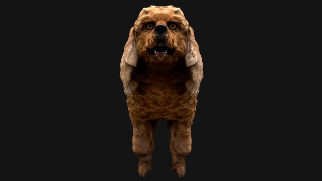 Dog Cockapoo Cocker Spaniel Mix Poodle 3D Model in Dog 3DExport