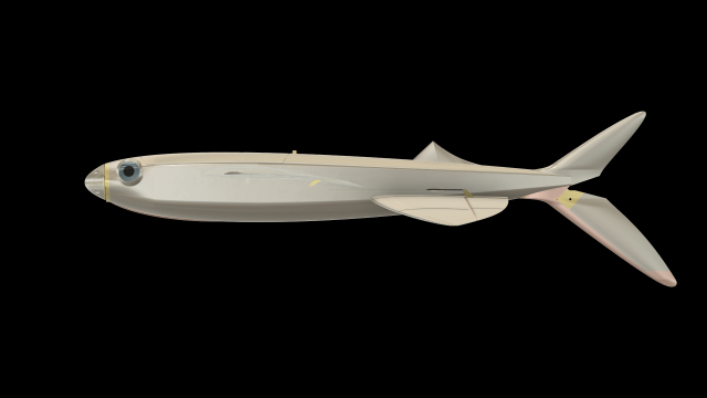 FUN FLY RC FLYING FISH GLIDER WINGSPAN 1078MM Free 3D Print Model in ...