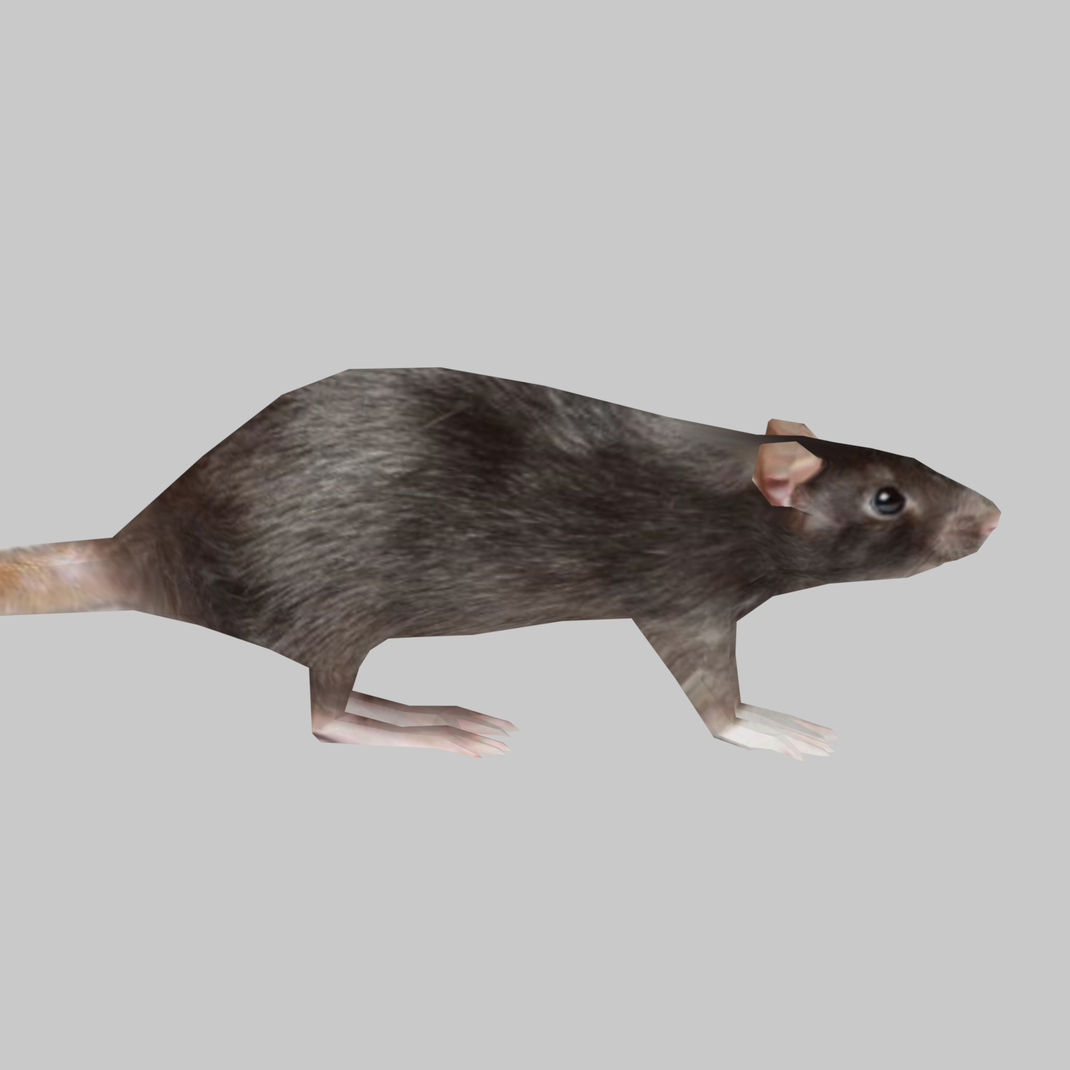 Mouse models