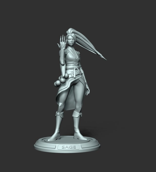 Sage - Valorant 3D Print Model in Figurines 3DExport