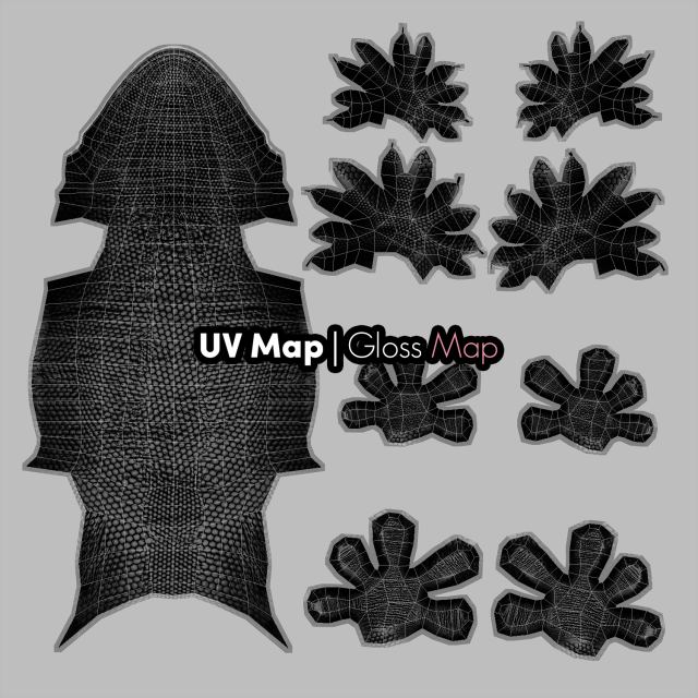 Gecko Reptile 3D Model in Reptile 3DExport