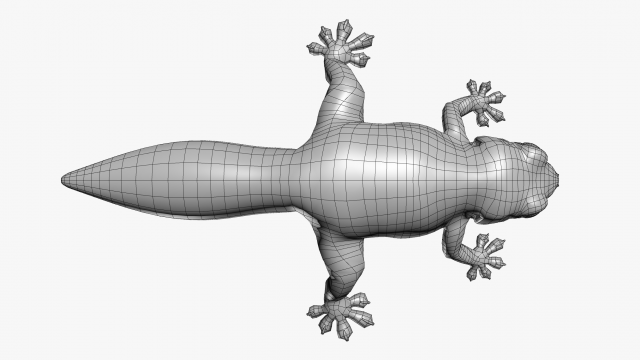 Gecko Reptile 3D Model in Reptile 3DExport