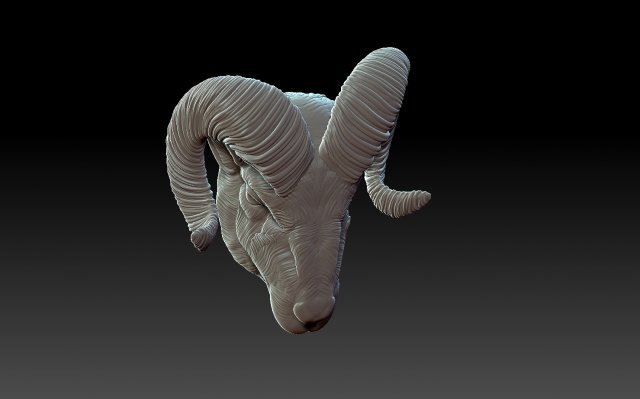 Rams head 3D Print Model in Other 3DExport