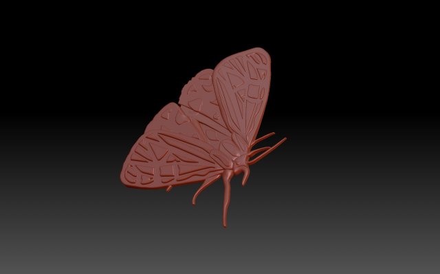 Moth 3D Print Model in Other 3DExport