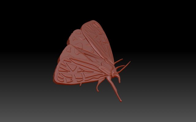 Moth 3D Print Model in Other 3DExport