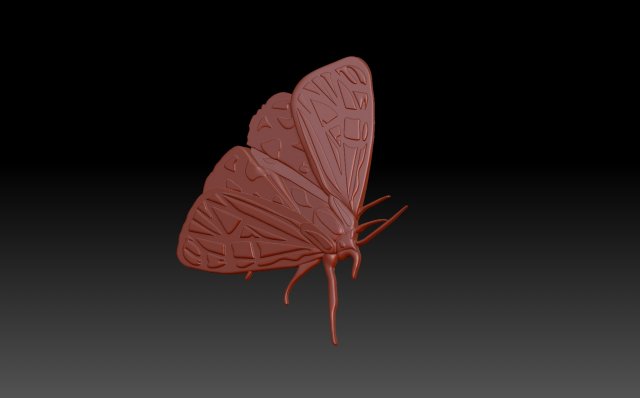 Moth 3D Print Model in Other 3DExport